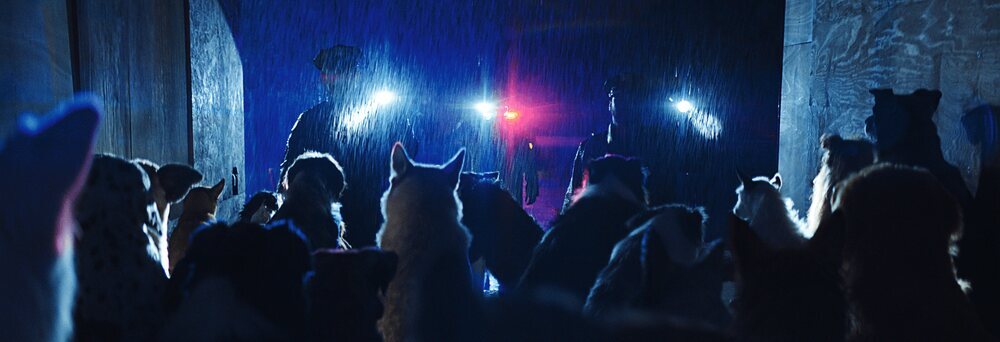 Dogman (2023) - Película eCartelera