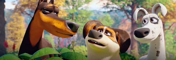 Trasto (2019) - Película eCartelera