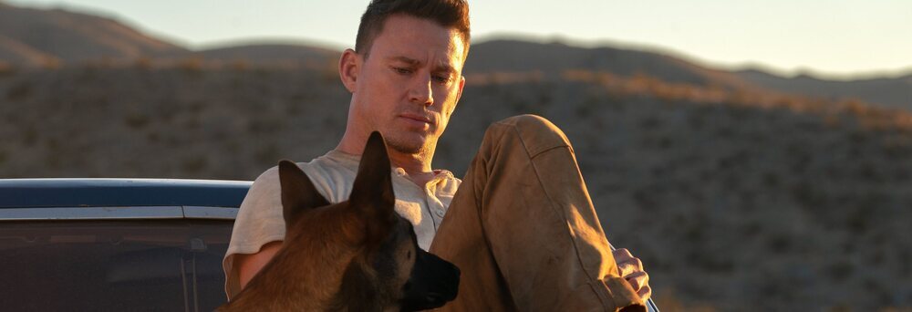 Ver Dog. Un viaje salvaje (2022) online - eCartelera