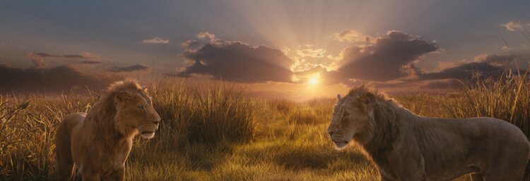 Ver Mufasa: El Rey León (2024) online - eCartelera