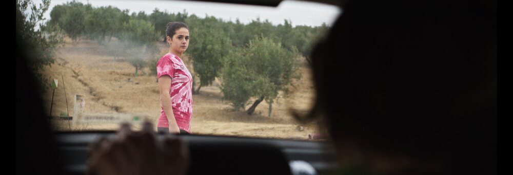 Los Tortuga (2024) - Película eCartelera