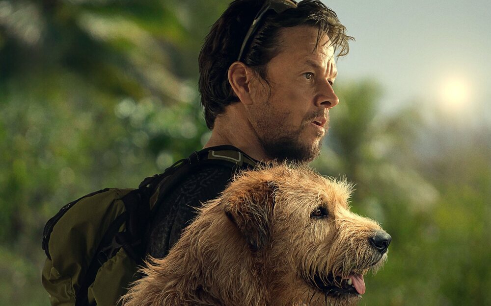 'Arthur': La generosidad de un rey canino - eCartelera