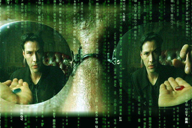 La escena de 10 millones de 'Matrix' y otras curiosidades del clásico ...